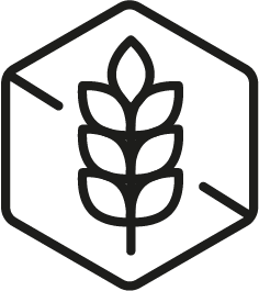 DEEP FOCUS - Vegane Multivitamin Fruchtgummis für Fokus und Leistung – ALLSUPPS